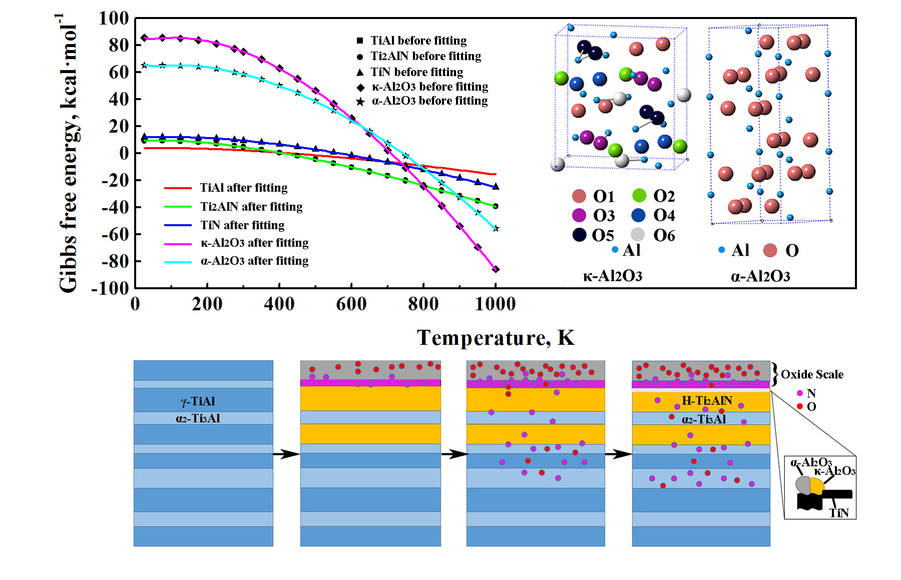 TiAl基合金高温氧化机理-轻质高温结构材料课题组